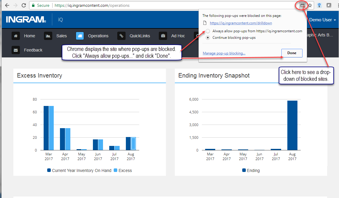 Why won't reports open? – Ingram IQ